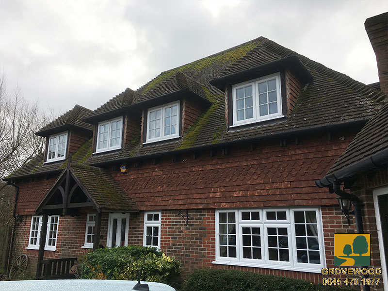 Window Gallery – windows designs and styles | Grovewood